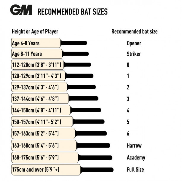 GM PSYCHE Cricket Bat
